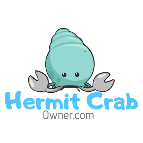 All you need to know about Hermit Crab Poop – Hermit Crab Owner